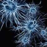 Top 38 Nervous System Fun Facts | Best Brain Fun Facts (Updated 2023)