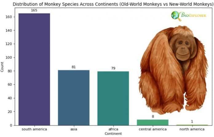334 Types of Monkeys | Old-World Monkeys | New-World Monkeys