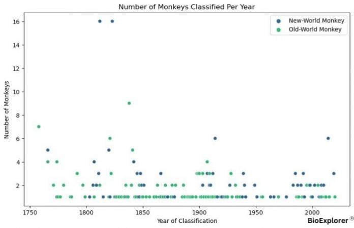 334 Types of Monkeys | Old-World Monkeys | New-World Monkeys