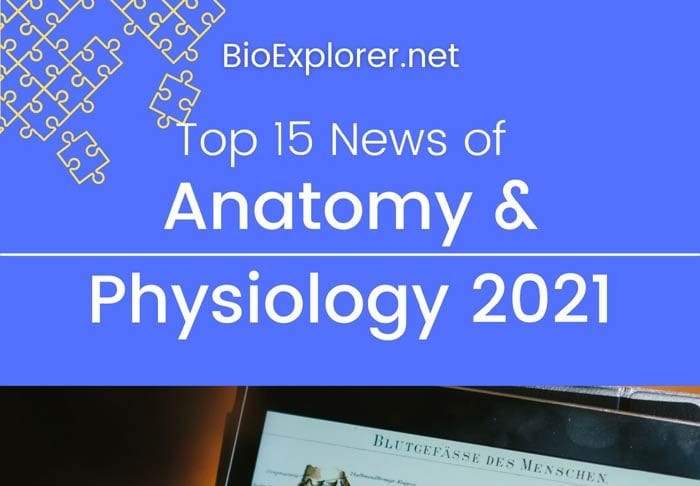 Welcome To Biology Explorer | Biology News | BioExplorer.net