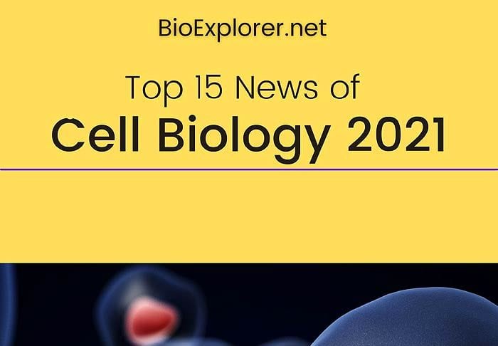 6 Reasons That Emphasizes The Importance Of Biology