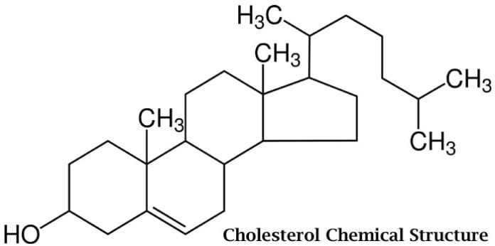 Building Blocks of Lipids | Structure,Function,Examples of Lipids