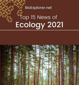 Top 15 Ecology News of 2021 | BioExplorer.net