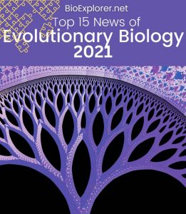 Top 15 Evolutionary Biology News of 2021 | BioExplorer