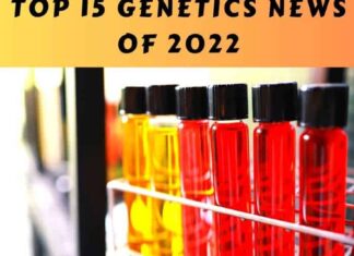 Biology News Archives | Research News | Current Events | BioExplorer