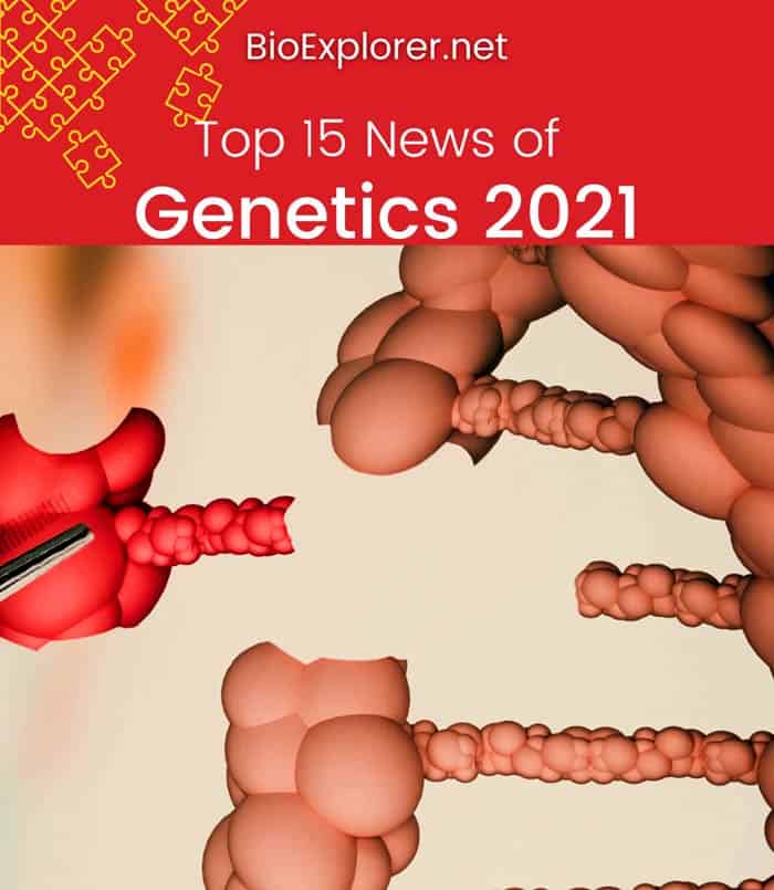 Top 15 Genetics News 2021 | 2021 Genetics Discoveries | BioExplorer