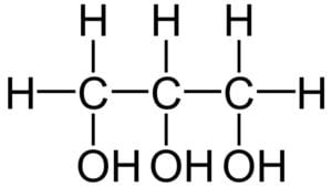 Building Blocks of Lipids | Structure,Function,Examples of Lipids