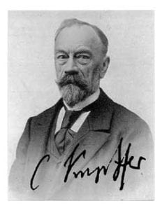 Kupffer Cells in Liver | Definition, Anatomy & Functions (Updated 2023)