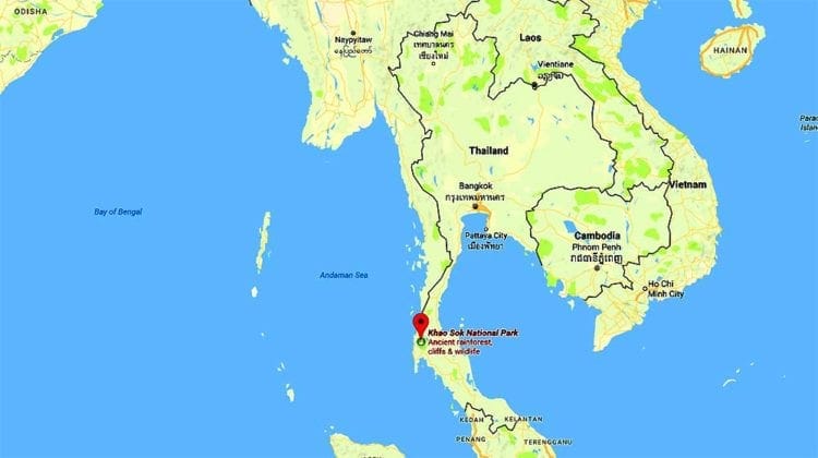 World's Top Rainforests | Tropical Rainforests | BioExplorer