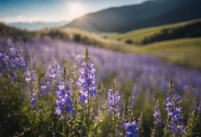 July Birth Flowers | Larkspur and Water Lily | Symbolism and Meaning