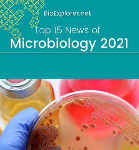 Top 15 Microbiology News of 2021 | BioExplorer.net