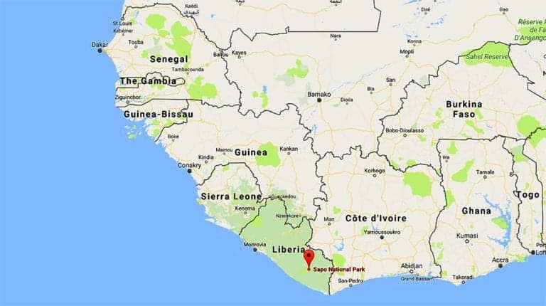 World's Top Rainforests | Tropical Rainforests | BioExplorer