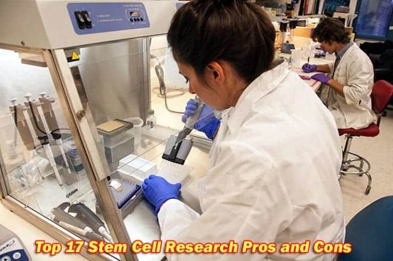 Top 17 Stem Cell Research Pros and Cons | BioExplorer.Net