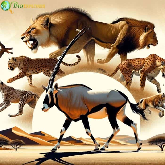 Scimitar Oryx | Scimitar-horned Oryx | Facts | Diet | BioExplorer