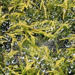 Marine Biology 101 | Unveiling the Wonders of Ocean Life