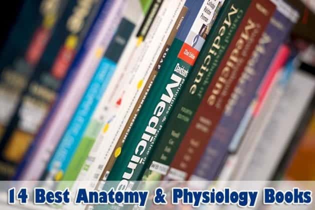 14 Best Anatomy and Physiology Books | Anatomy Textbooks | BioExplorer