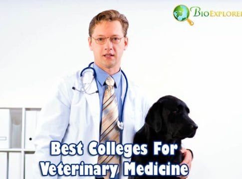 Welcome To Biology Explorer | Biology News | BioExplorer.net