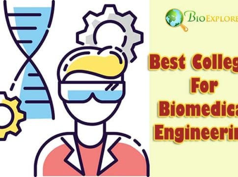 Welcome To Biology Explorer | Biology News | BioExplorer.net