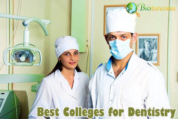 Top 14 BEST Colleges For Dentistry - BioExplorer.Net