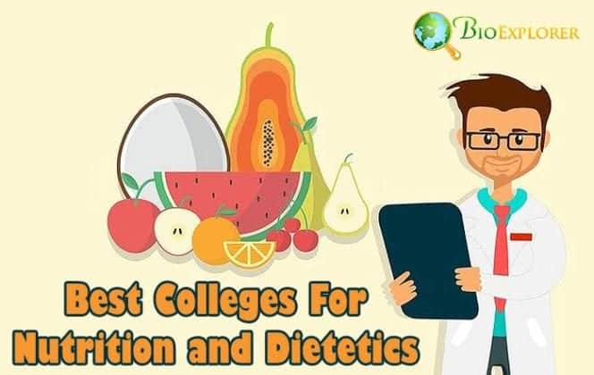 Top 10 BEST Colleges For Nutrition and Dietetics | BioExplorer