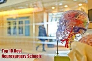 Top 10 Best Neurosurgery Schools in USA | Biology Explorer