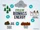 Top 20 Biomass Energy Pros and Cons (Updated 2023)