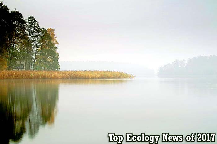 Top 11 Ecology News in 2017 | Ecology Current Events | Biology Explorer