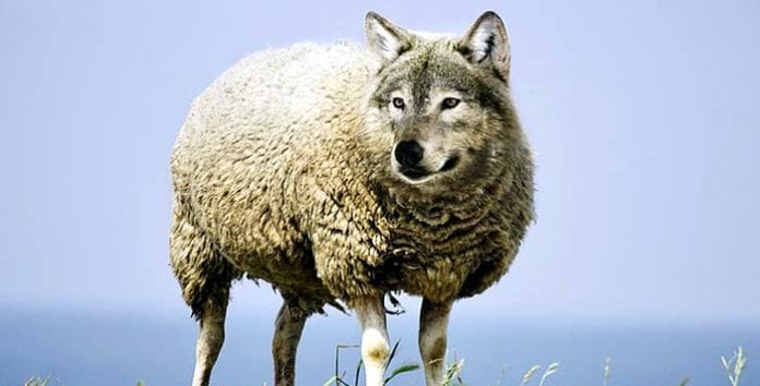 Top 7 Pros and Cons of Cloning | Reproductive Cloning | BioExplorer