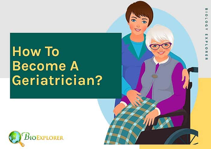 How To Become A Geriatrician? | Educational Qualification | Salary Info