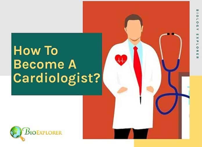 How To Become A Cardiologist? | Educational Qualification / Salary Info How To Become A Cardiologist? | Educational Qualification / Salary Info