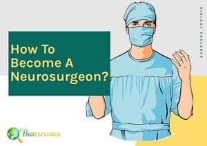 How To Become A Neurosurgeon? | Educational Qualification | Salary