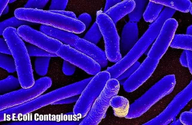 Is E.Coli Contagious? | Explore Causes, Symptoms & Diagnosis