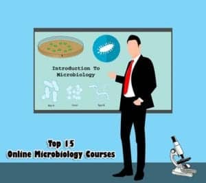 Top 15 Online Microbiology Courses For US Students | Biology Explorer
