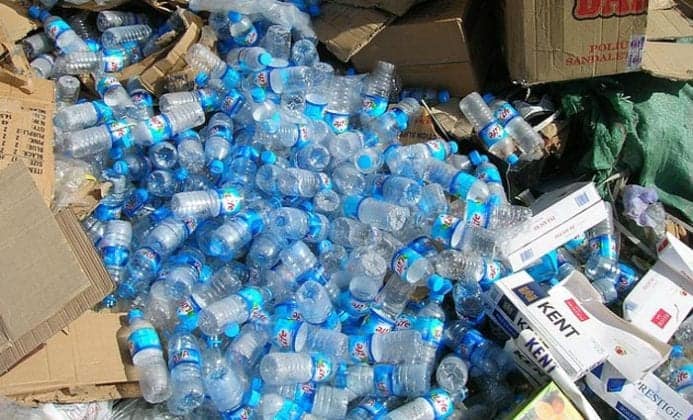 Biological Magnification | Definition, Examples, Causes & Effects