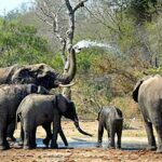 Levels of Biological Organization | 10 Levels of Organization | BioExplorer