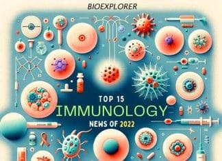 Biology News Archives | Research News | Current Events | BioExplorer