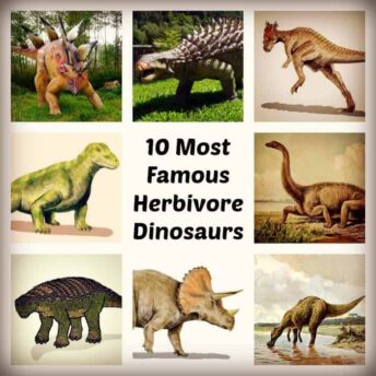 Herbivore Dinosaurs | 10 Famous List of Plant-Eating Dinosaurs