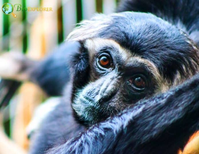 Top 15 Evolutionary Biology News of 2022 | BioExplorer