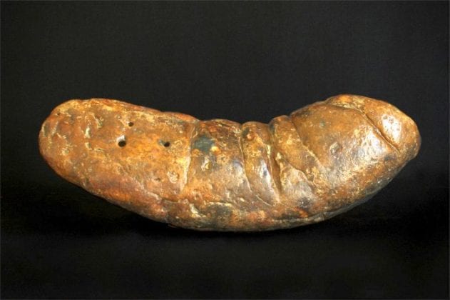 15 BEST Dinosaur Fossil Discoveries Of All Times | Bio Explorer