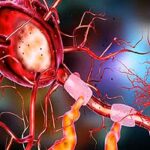 Top 38 Nervous System Fun Facts | Best Brain Fun Facts (Updated 2023)