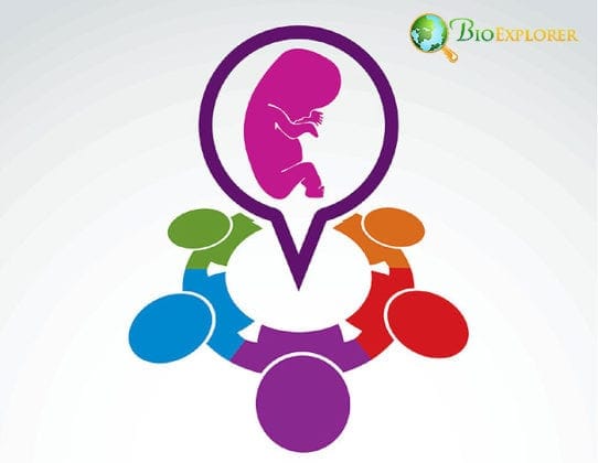 Top 15 Anatomy & Physiology News In 2019 - BioExplorer