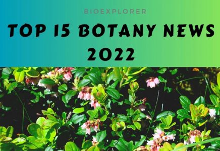 Top 15 Biotechnology News of 2022 | BioExplorer.net