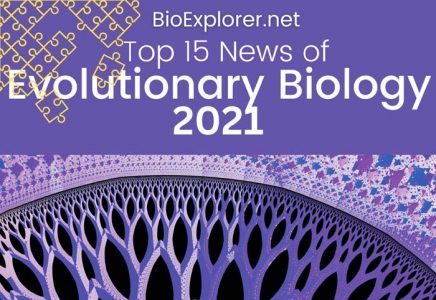 Welcome To Biology Explorer | Biology News | BioExplorer.net