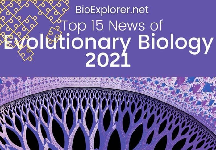 Welcome To Biology Explorer | Biology News | BioExplorer.net