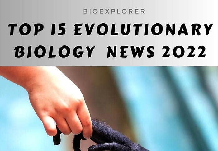 Welcome To Biology Explorer | Biology News | BioExplorer.net