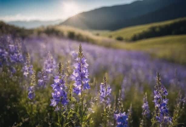 July Birth Flowers | Larkspur and Water Lily | Symbolism and Meaning