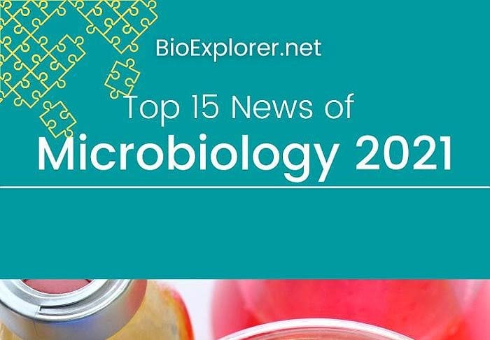 Welcome To Biology Explorer | Biology News | BioExplorer.net