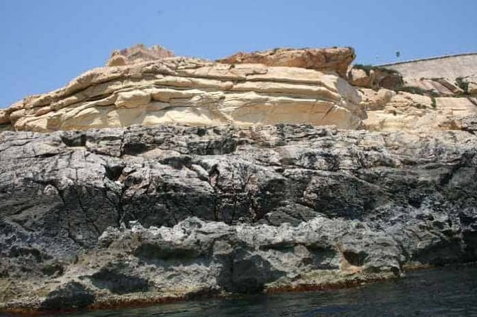 Biological Weathering Definition, Process, Types & Examples