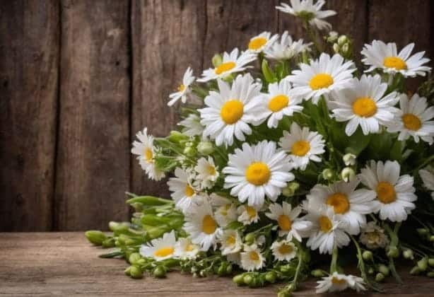 April Birth Flowers | Daisies and Sweet Peas | Meaning & Symbolism