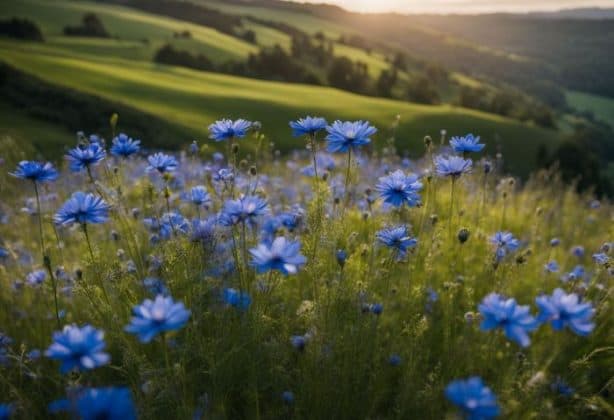 Top 43 BEST Blue Flowers | Mesmerizing Blue Blossoms | Pictures